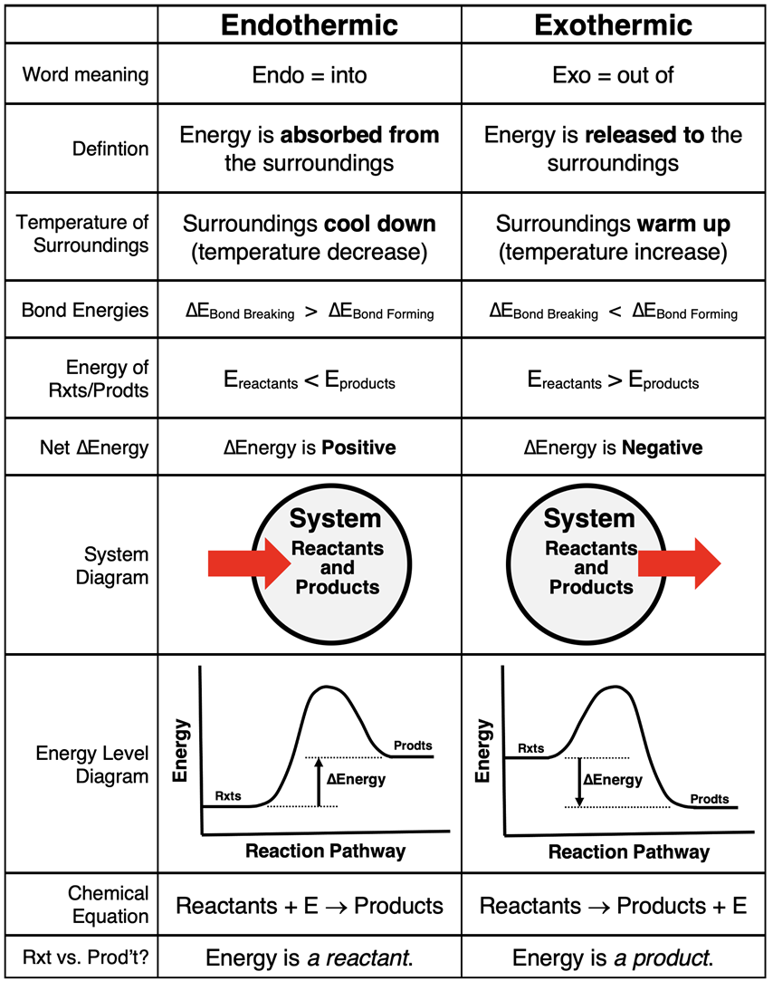 Energy Changes in Chemical Reactions: Exothermic & Endothermic Processes